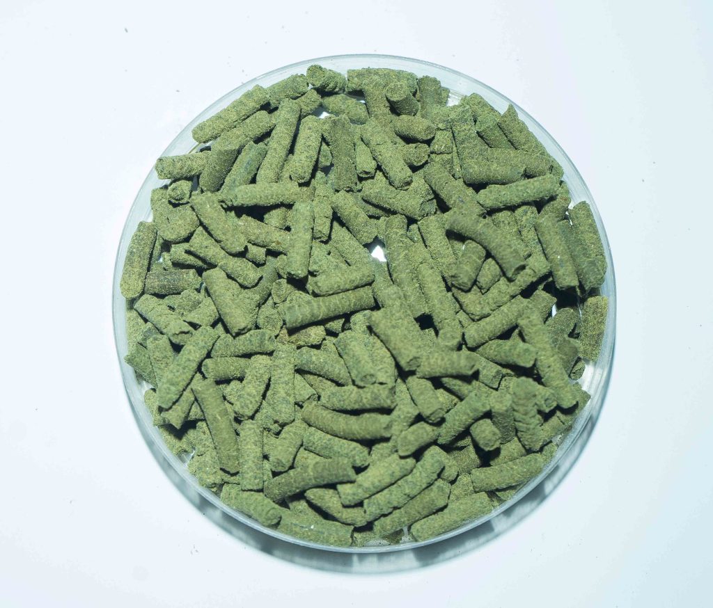 Superfish Algae Sticks | Premium Plant-Based Diet for Herbivorous Fish